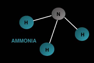 Chemistry in My Daily Life: Cigarettes