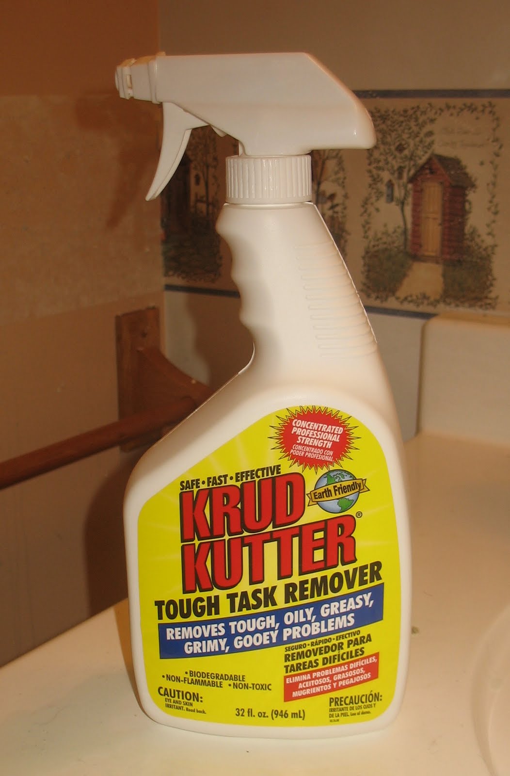 21 Rosemary Lane: Another Shout Out for Krud Kutter!