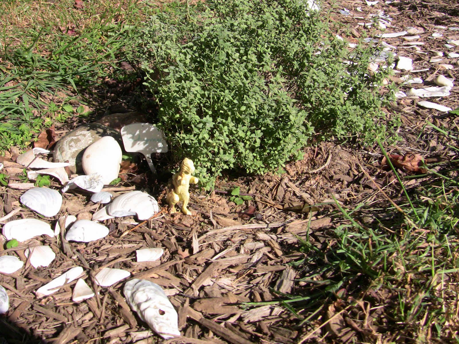 Apple Falls: Seashell Sidewalks