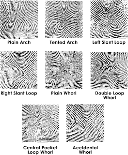 Forensics: P1: Types and Shapes of Fingerprints