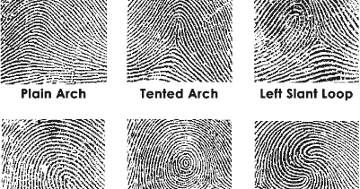 Forensics: P1: Types and Shapes of Fingerprints