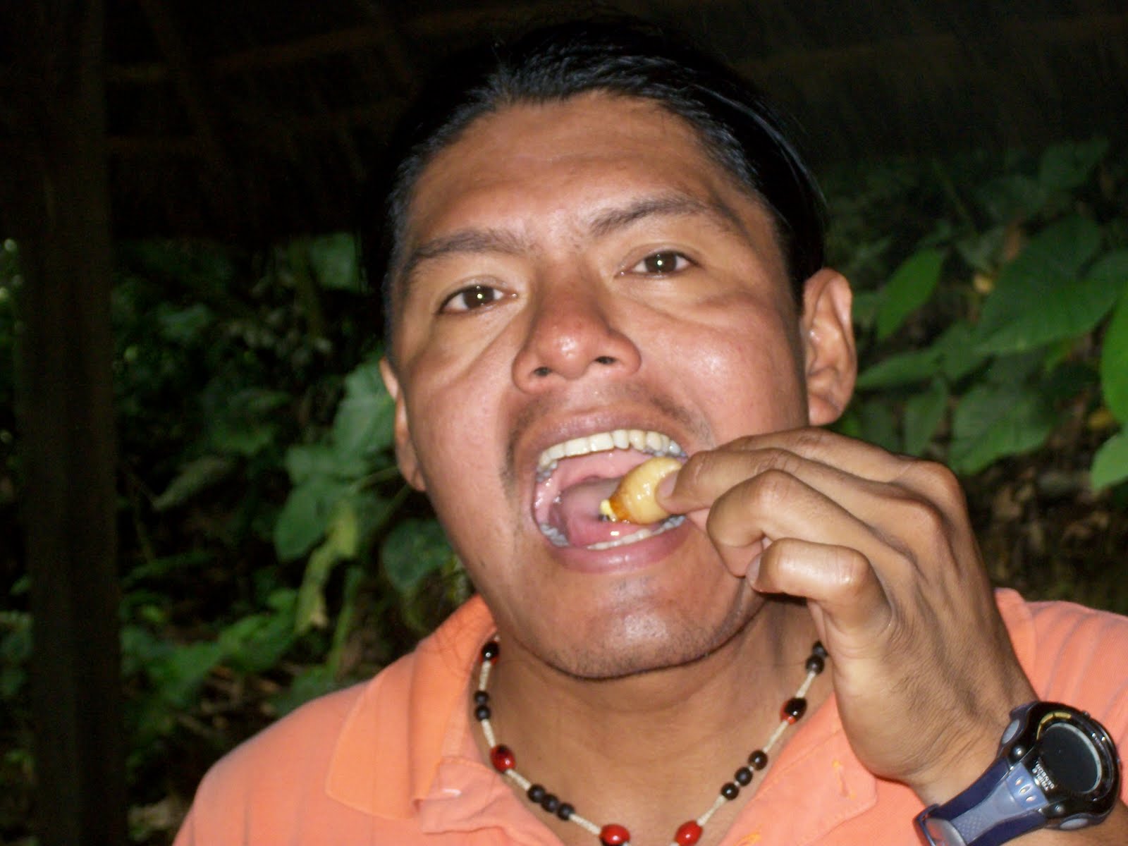 Amazon Divas: PREPARING & EATING GRUBS