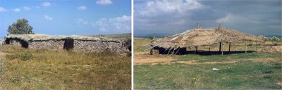 archetypa*eng: May 2010