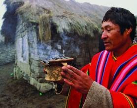 Historia De Los Incas: MEDICINA INCA