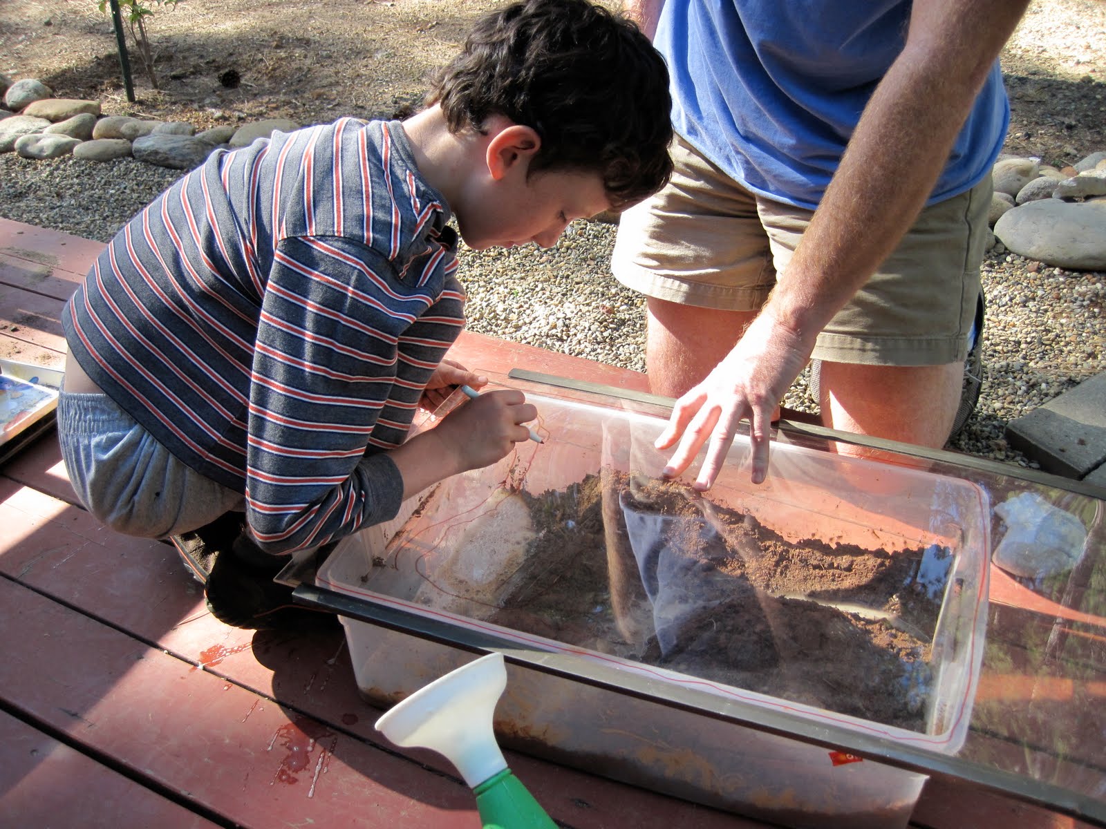tadpoles, trails and trees: Topographic Maps