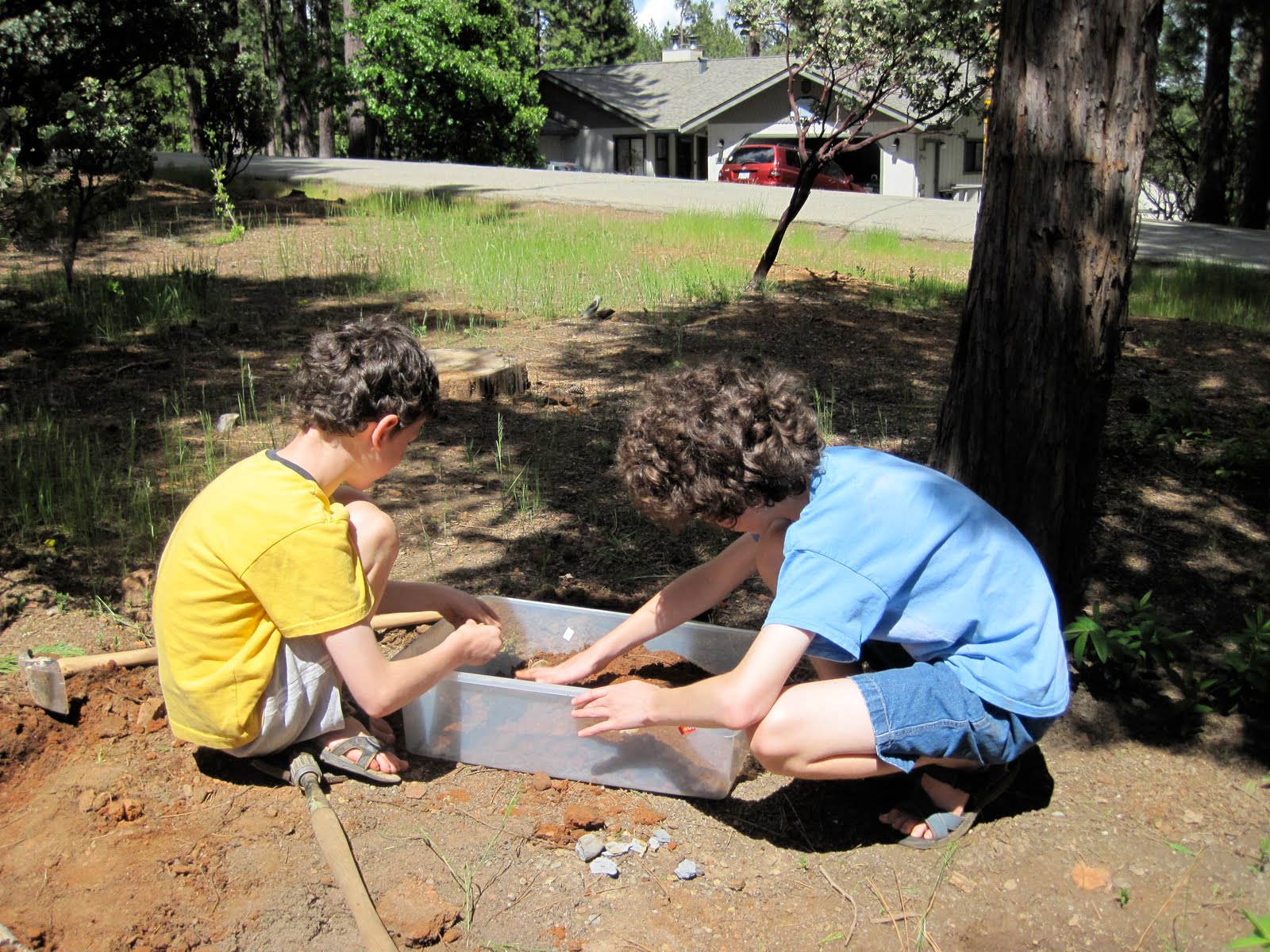 tadpoles, trails and trees: Topographic Maps