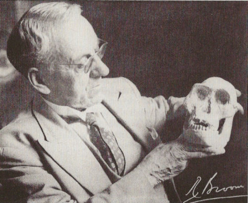 History of Geology: History of Paleomammology: Ex Africa Semper Aliquid ...