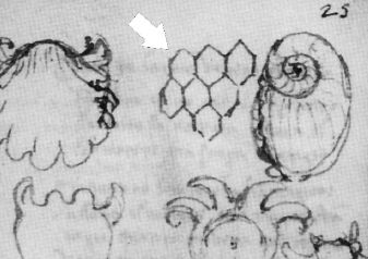 History of Geology: Following the tracks of Ichnology