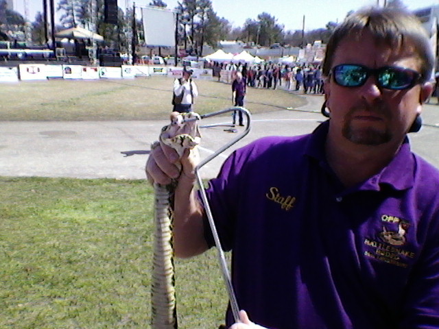 The Traveling Robinsons: Rattlesnake Rodeo in Opp, Alabama
