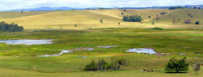 Travels with the Highland Drover: September 2008