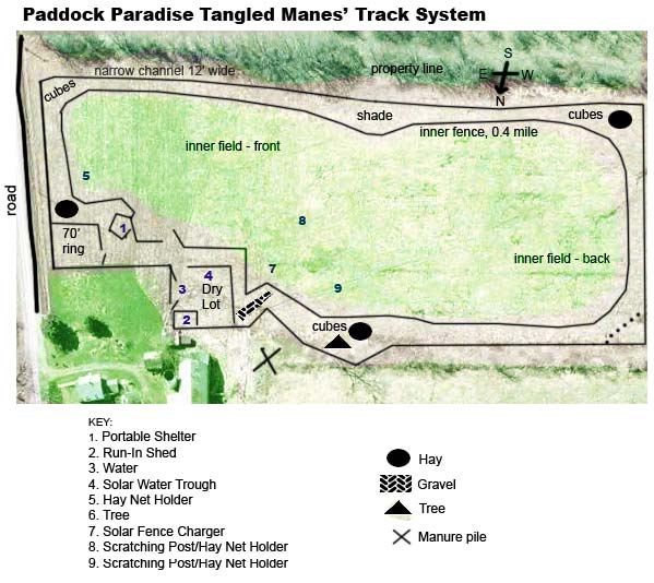 La Dream Team du Sud Ouest: Le Paddock Paradise