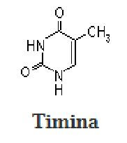 BIOLOGÍA nivel enseñanza media : La estructura de los nucleótidos y los ...