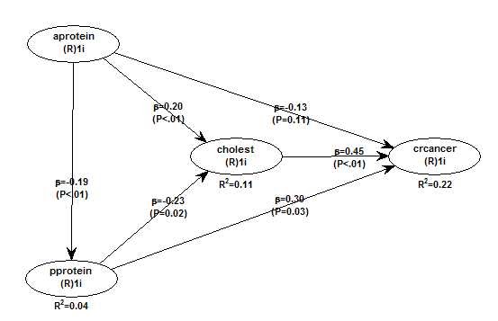 WarpPLS: Using WarpPLS in an exploratory path analysis of health ...