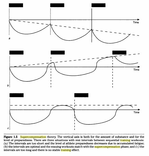 Health Correlator: The theory of supercompensation: Strength training ...
