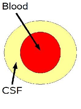 Medic Guide: How can you confirm a cerebrospinal fluid leak in a base ...