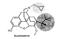 TD buprenorphine for everything and everyone ~ Pallimed