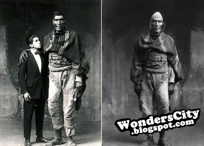 Tall Men: Adam Rainer 234 cm tall men