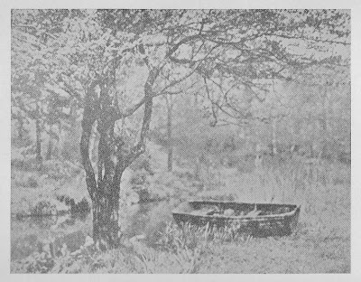 Imágenes de la psiquiatría: 104. Las fotos del TAT