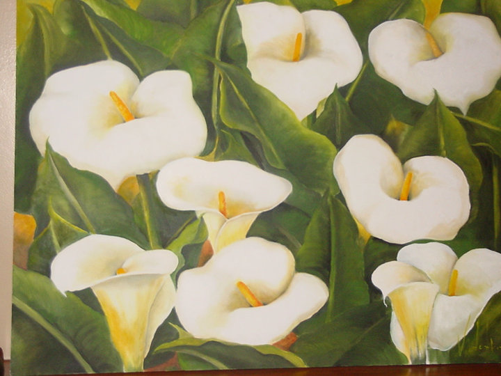 Cuadros de Oleos: calas