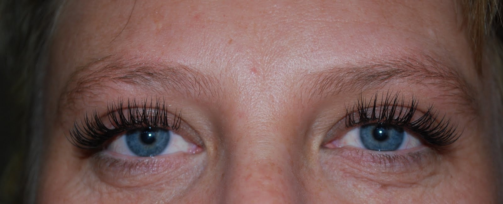 Professional Single-Lash Volume and Classic Eyelash Extensions in SLC ...