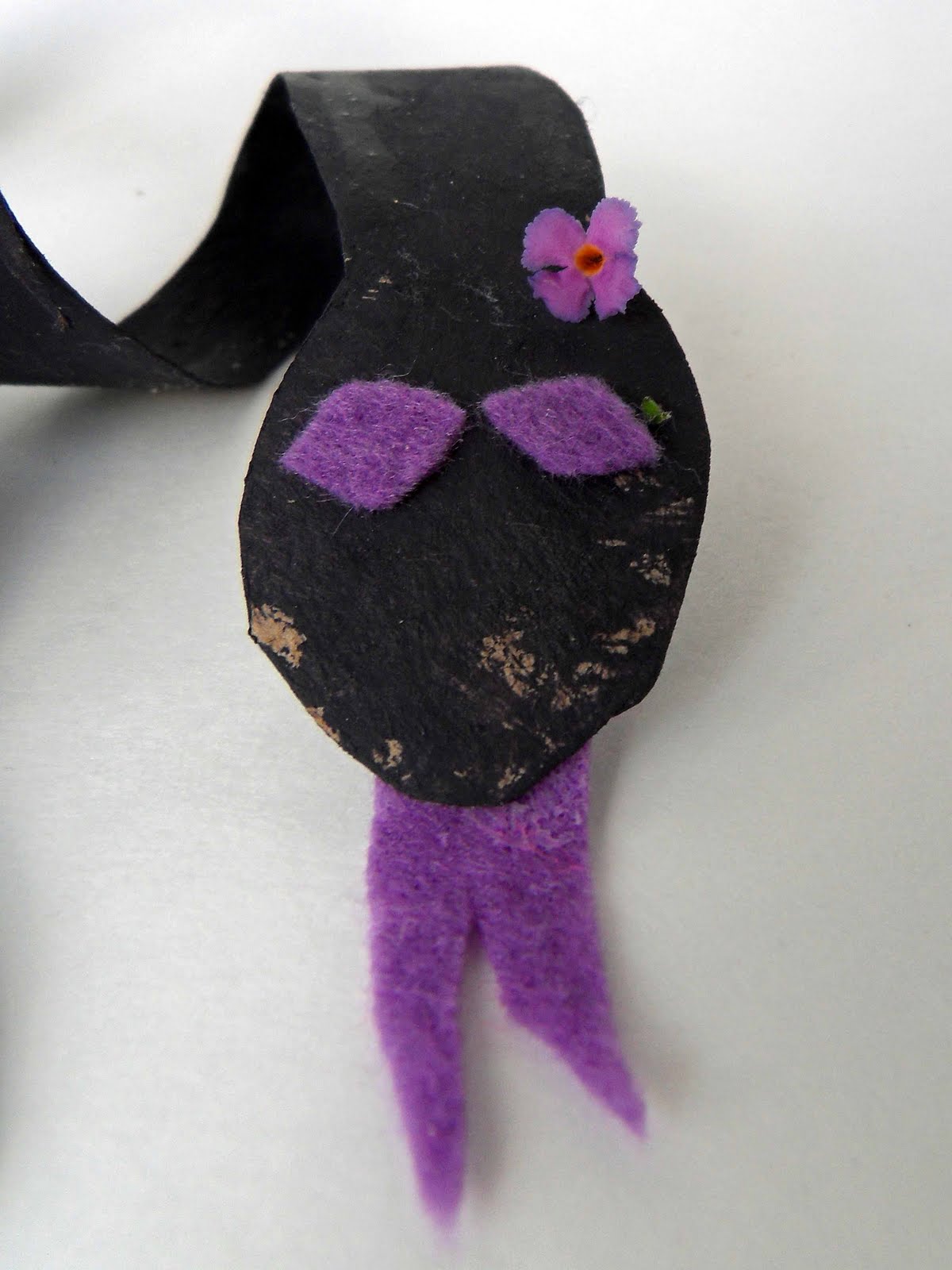 Curly Birds: Zoo Exhibition