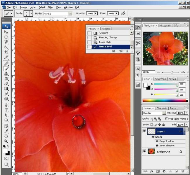Уроци на фотошоп, GIMP, MS Office, Scratch, HTML&CSS: Kaк да направим водна капка върху ...