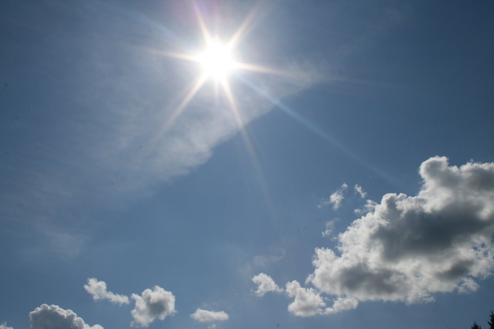 Stockholms Fallskärmsklubb, nyheter: Solsken över underbara Gryttjom!