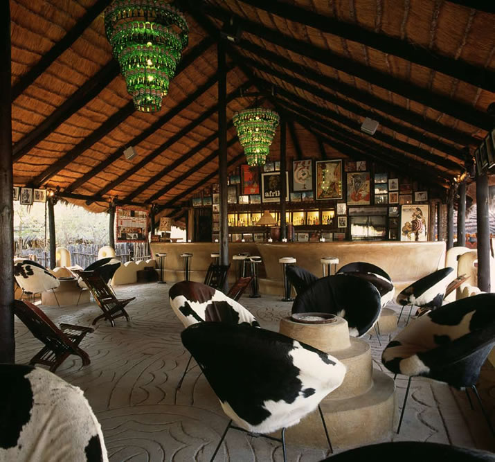 Adventures in Africa: Planet Baobab: Chobe National Park, Botswana