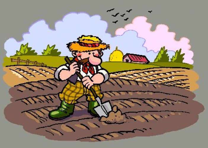 Informagiovani Ameglia: LAVORO: CERCASI OPERAIO AGRICOLO