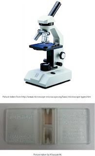 BioFreaks Biochemistry Blog (v.Beta): GGS LIVE - Counting cells