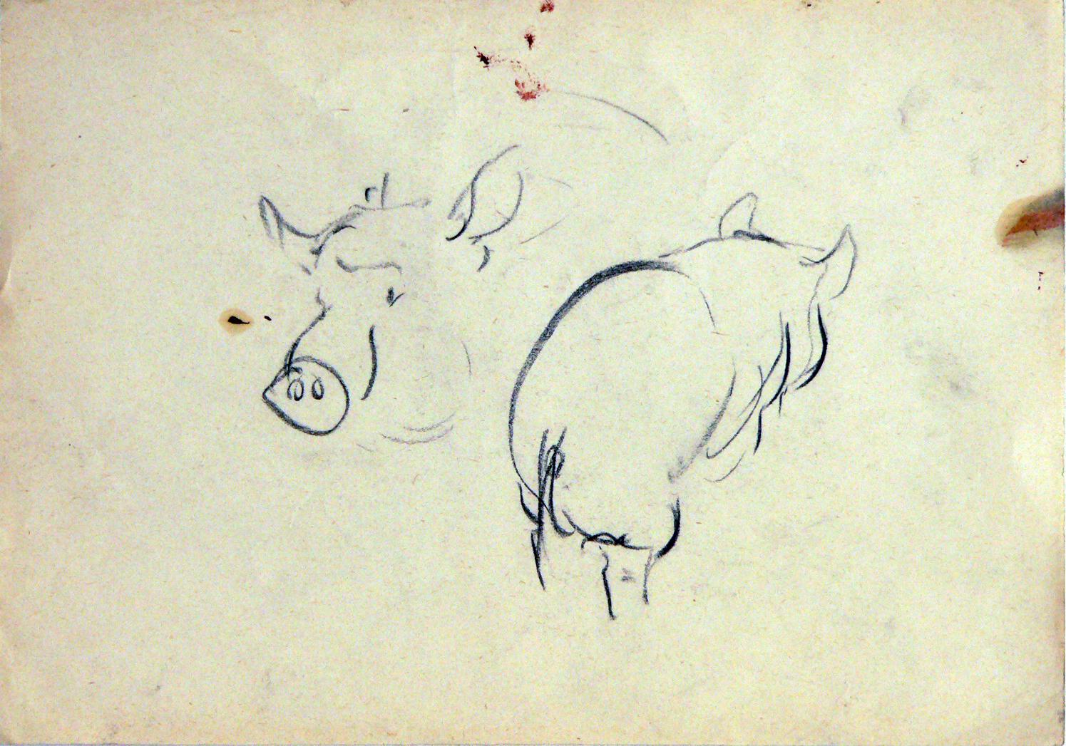 PORKOLÁB MAGDOLNA: Malacos rajzok