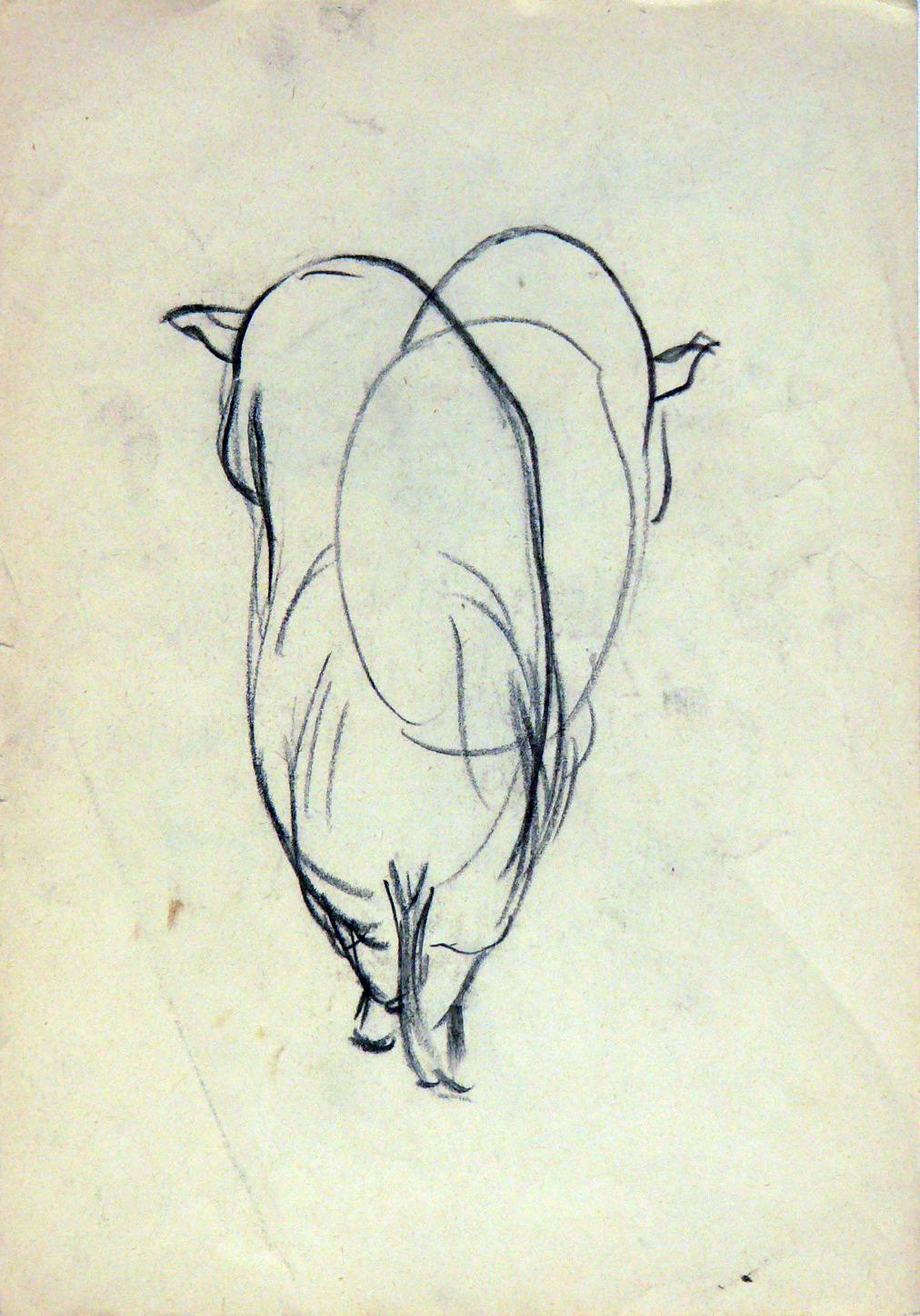 PORKOLÁB MAGDOLNA: Malacos rajzok