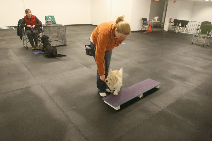 Reactive Champion: Thresholds: What they are, why they matter, and why ...