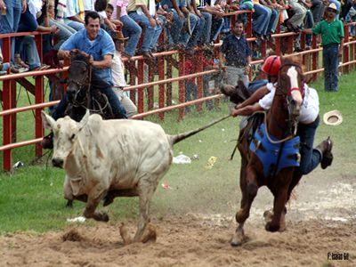 VIVE, SIENTE EL FOLCLOR DE COLOMBIA: FERIAS DEL COLEO VILLAVICENCIO