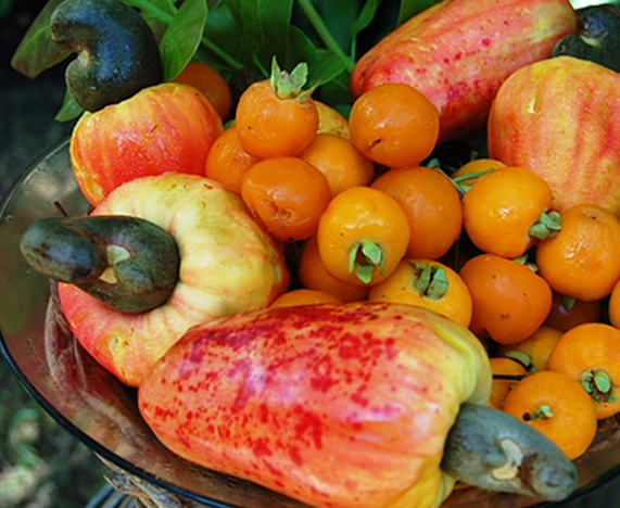 O Pomar do Sítio: Tabela de Safra de Frutas