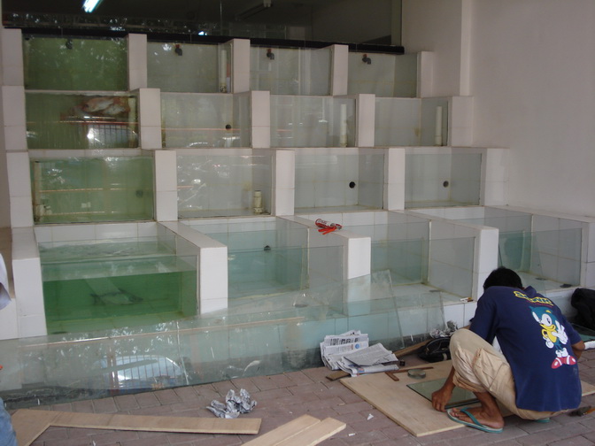 JAYA AQUATIC: Ingin membuat kolam di rumah anda? Atau aquarium display ...