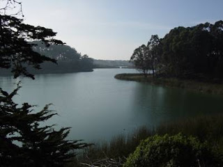 Alone Travel: Lodging and leisure at Lake Merced In San Francisco