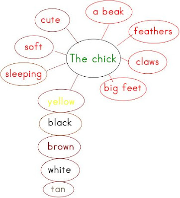 mrss-s: Use a Bubble Map to write about Chicks