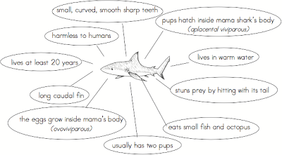 mrss-s: Use a Bubble Map: Thresher Shark