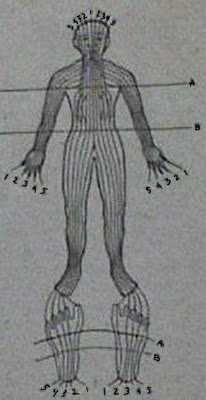 Klinik Pengobatan Terapi Reflexi ABU AULIA'