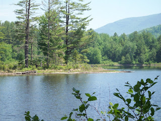 Summer of the Vermont Day Trip