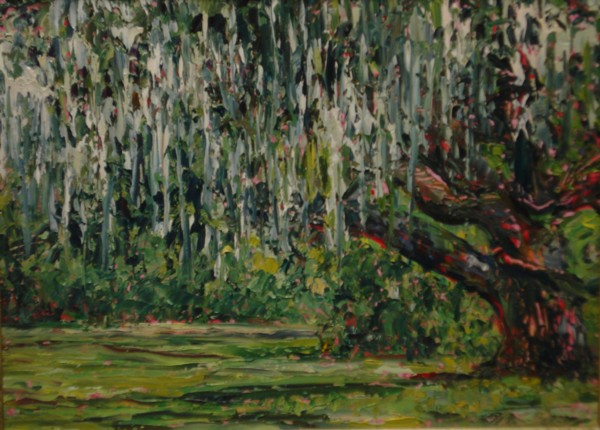 Rob Shaw to Exhibit at Gallery 80808 – Stormwater Studios