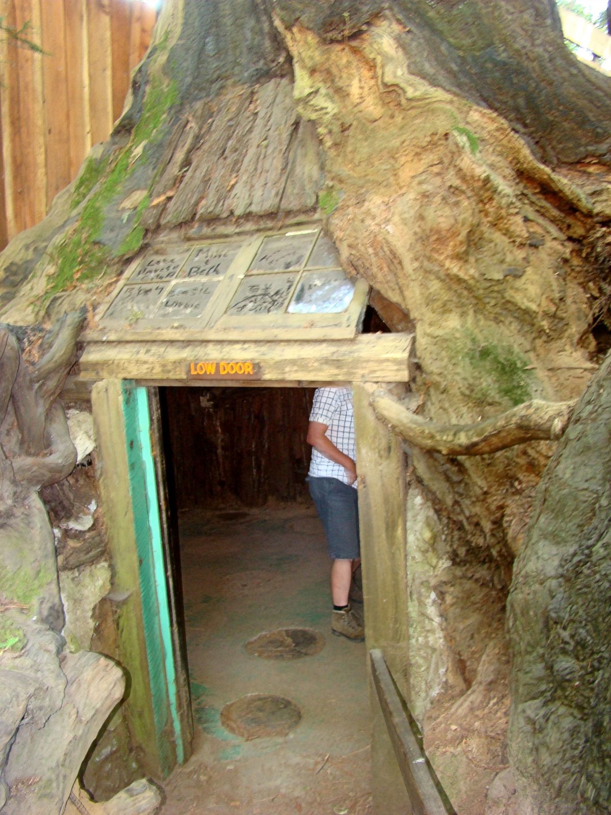 Reisverslag Amerika 2010: Dag 20: Avenue of the Giants (1)