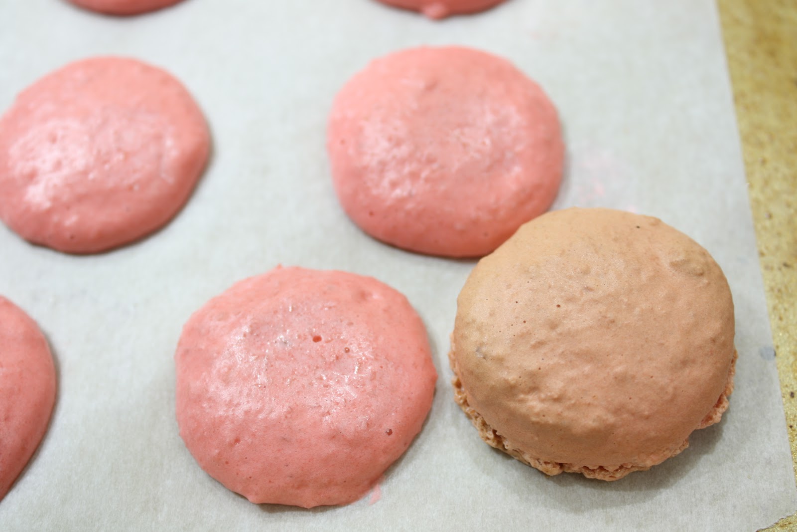 Always... leave room for dessert: Macaron Fail