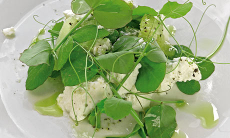 The Dahlia Farm Blog: PEA TENDRILS: A Seasonal Delicacy