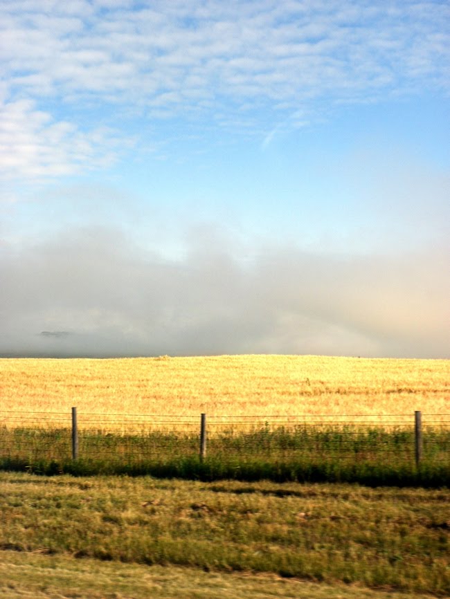 PICKING POSIES: PRAIRIE SKY