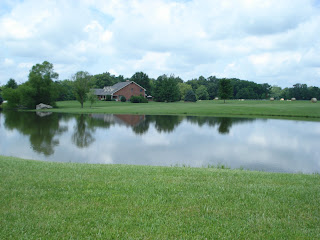 Digital Photography: Unedited Landscapes