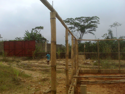 house of grass: Snail Pens For Commercial Production