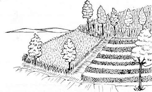 ESCUELA DE AGRICULTURA ECOLÓGICA CON ÉNFASIS EN ASOCIATIVIDAD : MEDIDAS ...