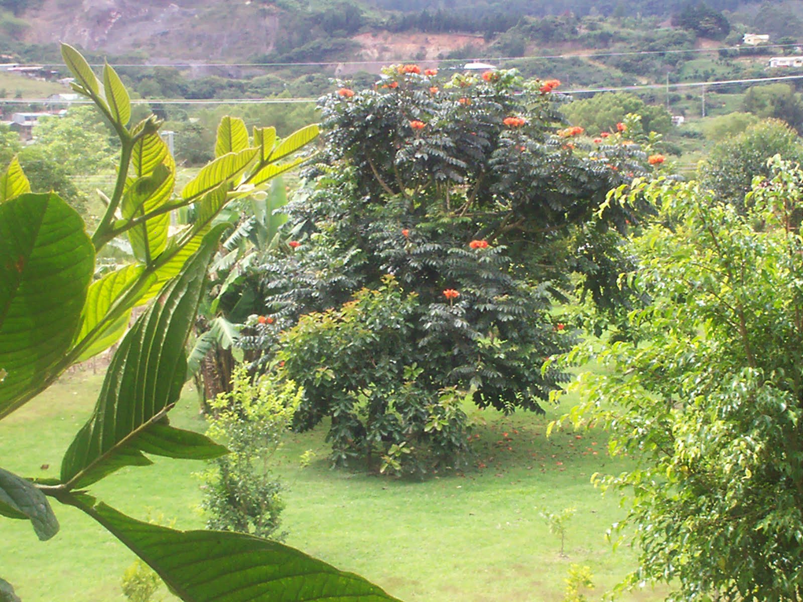 Rancho El Guayabal: Vistas desde Arriba